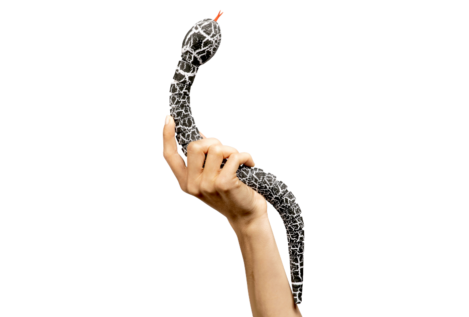 Python Basics for Market Analysis training - OpenClassrooms